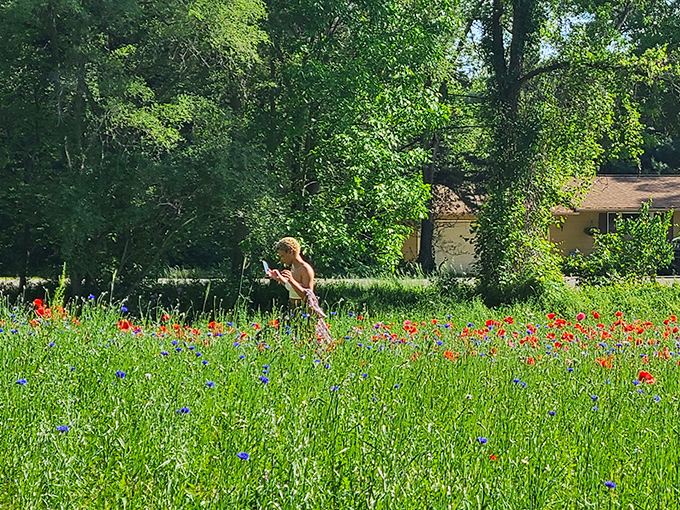 Solitary wanderer finds peaceful communion among the blooms, demonstrating how Pleasant Hill Farm offers both social and contemplative experiences.