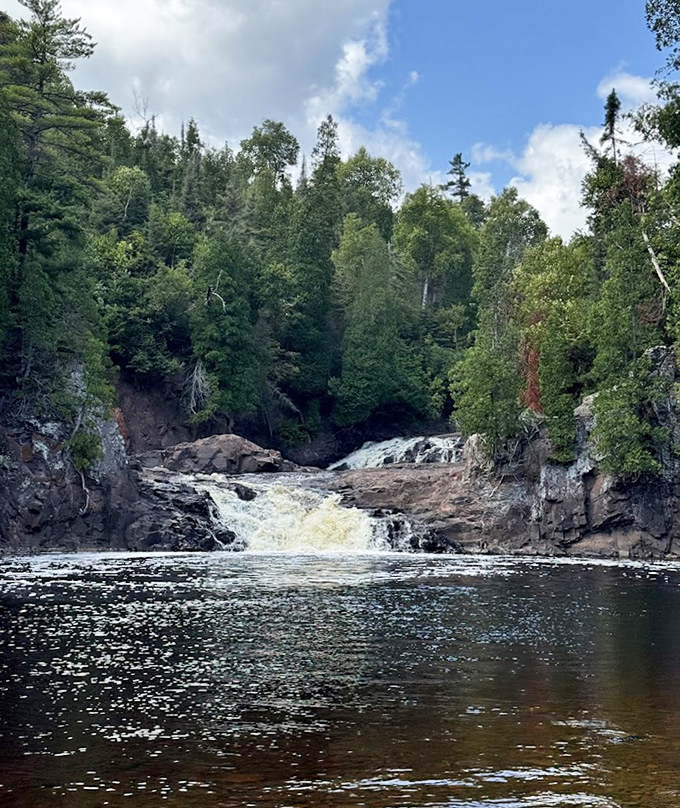 The dense pine forest stands like an honor guard along the river, a green cathedral that's been growing its congregation for centuries.