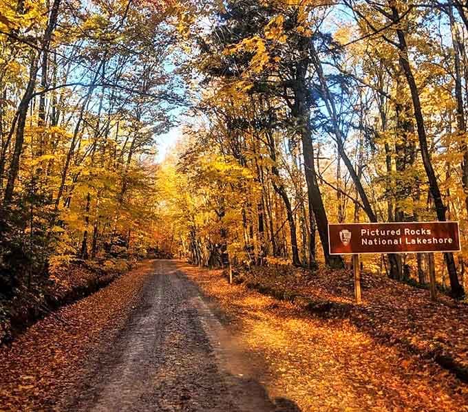 Fall transforms H-58 into a golden tunnel, where autumn leaves create a canopy so vibrant you'll swear someone turned up nature's color saturation.