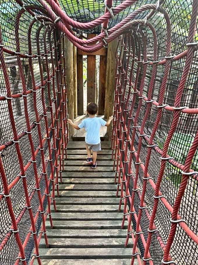 This rope bridge lets kids (and adventurous adults) channel their inner Indiana Jones while staying perfectly safe above the ground.