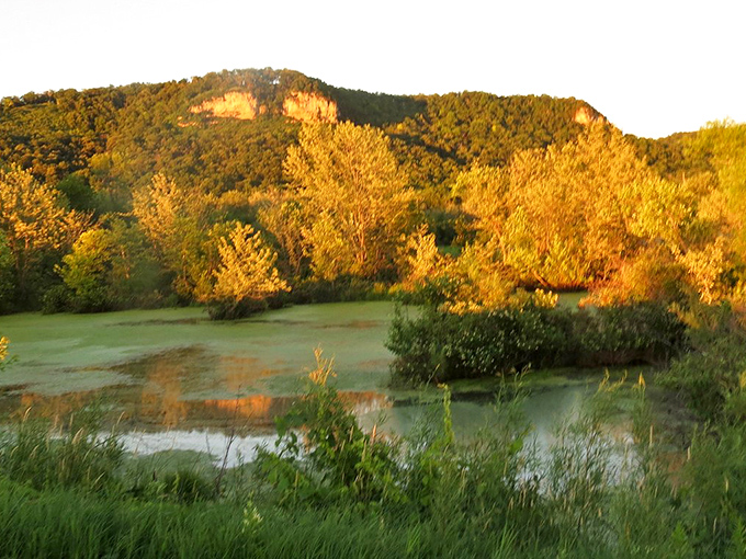 The setting sun bathes farmland and bluffs in golden light, showcasing the harmonious relationship between land and river.