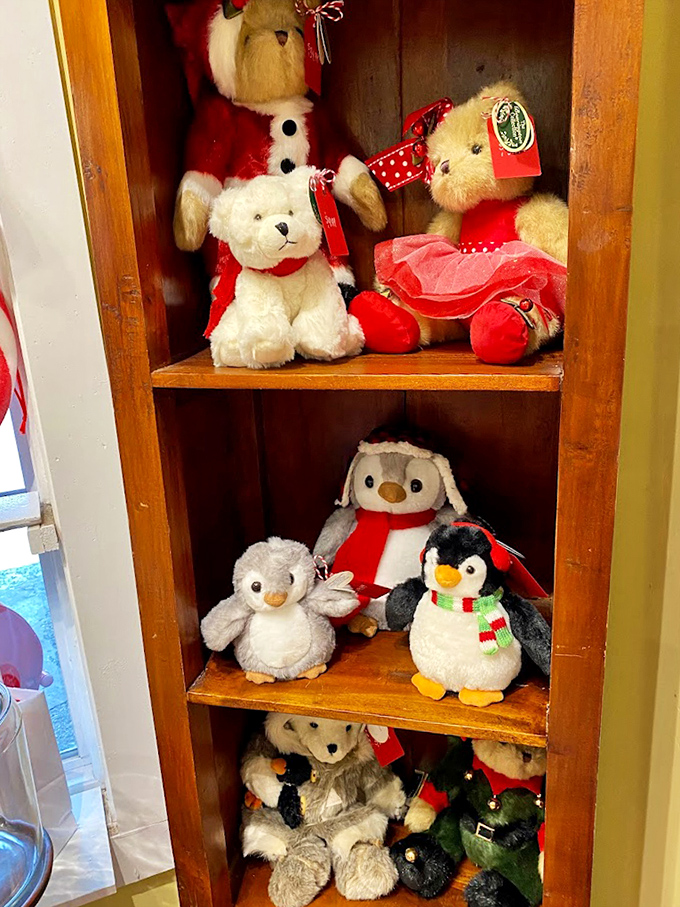 The teddy bear corner adds a cuddly dimension to the candy experience, with plush friends waiting to go home with you.