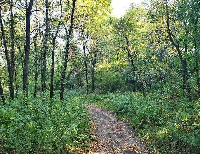 Winding trails through lush greenery provide peaceful escapes for hikers, with occasional gnome surprises hidden among the foliage.