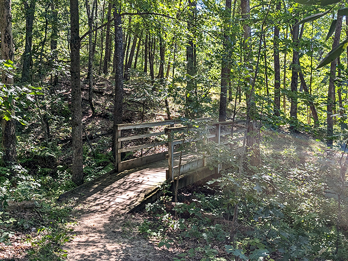 This woodland bridge isn't just crossing a creek; it's connecting you to the peaceful solitude John Muir found so inspirational.