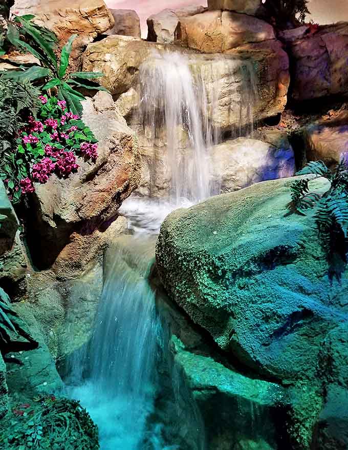 This tranquil waterfall creates a peaceful transition between exhibit areas, mimicking the journey from freshwater environments to saltwater oceans.