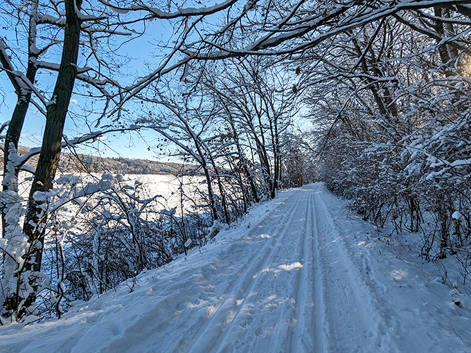 Winter transforms familiar paths into snow-covered wonderlands, where ski tracks carve stories into the pristine white canvas.
