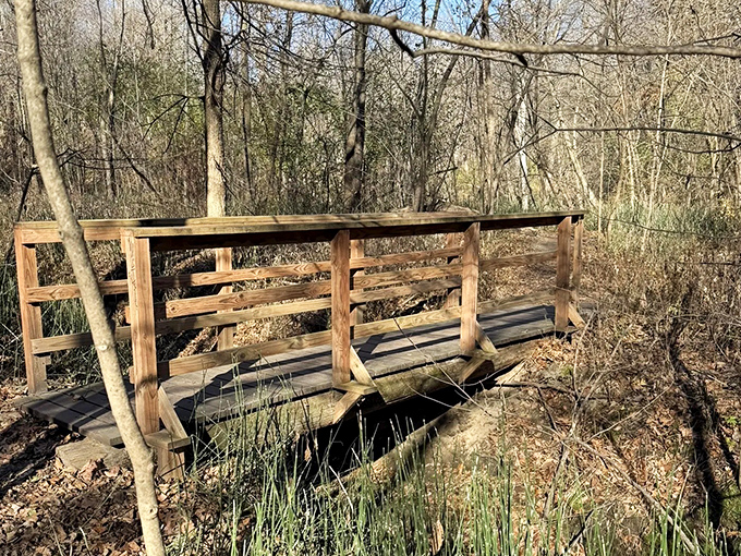 This rustic footbridge connects not just two sides of a stream, but visitors to the wilder world beyond the everyday.