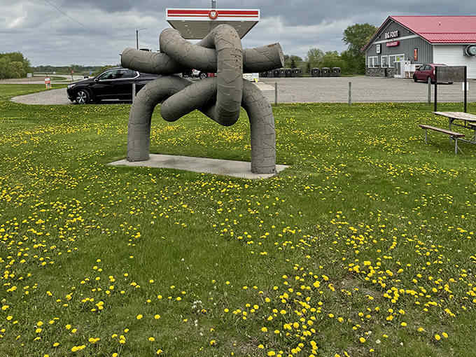 Spring brings yellow flowers dancing around the twisted metal sculptures, creating a perfect contrast between natural and manufactured beauty.