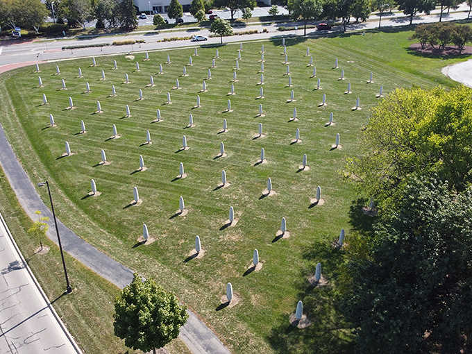 From above, the mathematical precision of the corn field's layout becomes apparent, revealing patterns that can only be fully appreciated from this bird's-eye perspective.