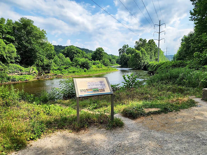 Cuyahoga floodplains: The river that once caught fire now flows peacefully through verdant landscapes, proving everyone deserves a second chance.