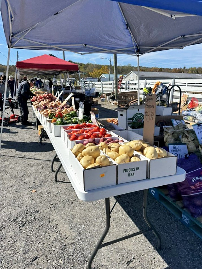 Farm-fresh bounty displayed with pride – locally grown produce arranged in perfect rows, each vegetable practically begging to star in tonight's dinner.