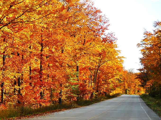 Roadside trees stand like sentinels along H-58, their fiery autumn colors creating a natural light show that no Vegas spectacular could match.