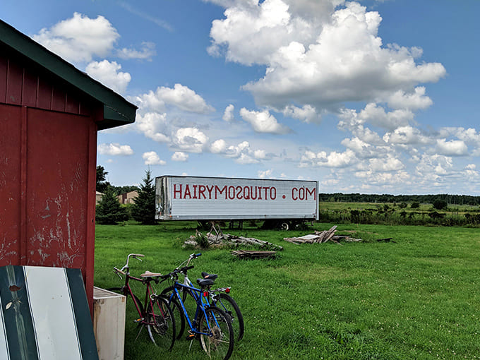 The roadside signage leaves no doubt about your destination, proudly proclaiming its mosquito-themed identity.