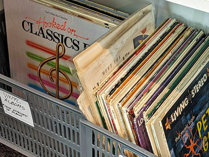 Vinyl treasures await discovery, each record promising to fill your home with the authentic crackle and warmth only analog can deliver.