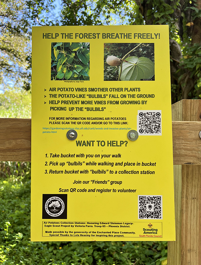 Conservation made simple, this sign transforms visitors from passive observers to active participants in protecting the forest's delicate ecosystem.