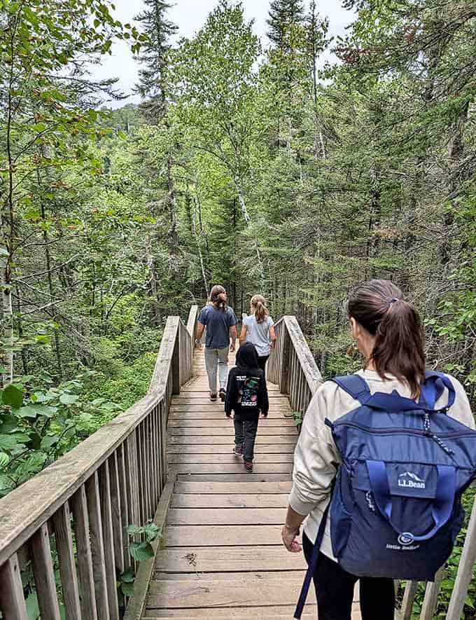 Judge C.R. Magney State Park's boardwalk trail invites hikers into a lush forest wonderland, where adventure awaits around every bend.