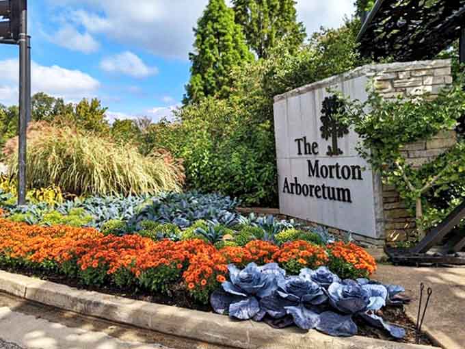 The Morton Arboretum's entrance sign stands proudly among seasonal plantings that change throughout the year, always picture-perfect.