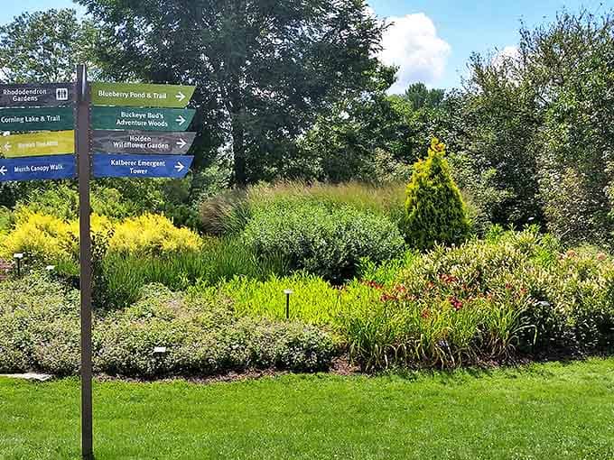 Like a choose-your-own-adventure book come to life, these directional signs promise different but equally enchanting paths through nature's playground.