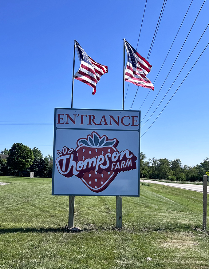 Patriotic welcome: American flags flutter above the Thompson Farm entrance sign, embodying heartland values and family tradition.