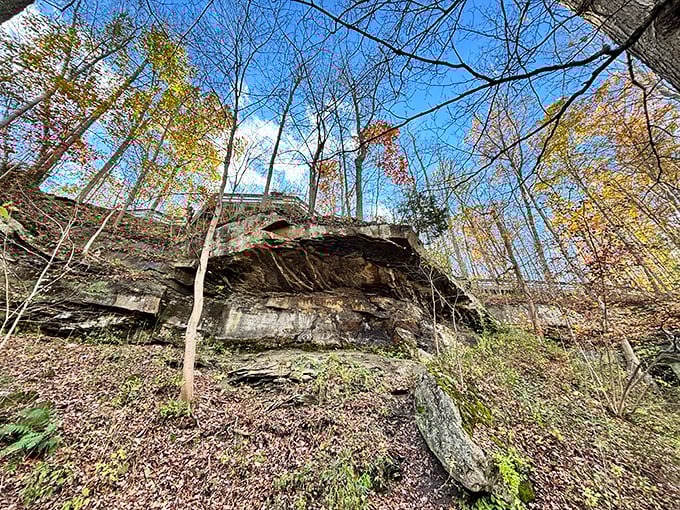 Ancient rock formations tell Earth's story in layers – geological storytelling that makes your family history seem brief by comparison.