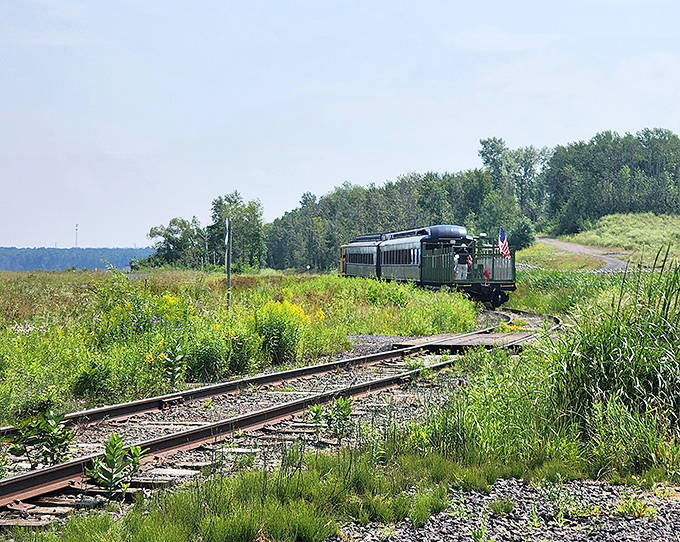 The train emerges from a gentle curve, revealing itself to photographers and nature lovers along this historic route through pristine wilderness.