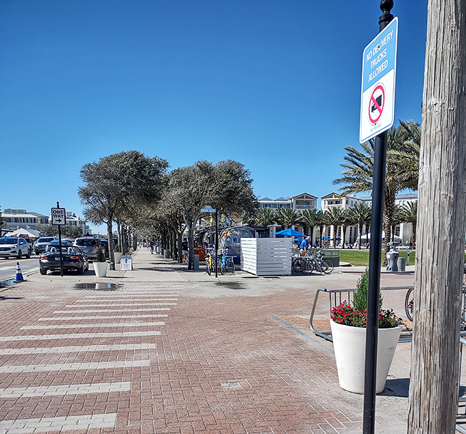 The tree-lined streetscape creates a perfect frame for Airstream Row, where vintage trailers and modern cuisine create a uniquely American food destination.