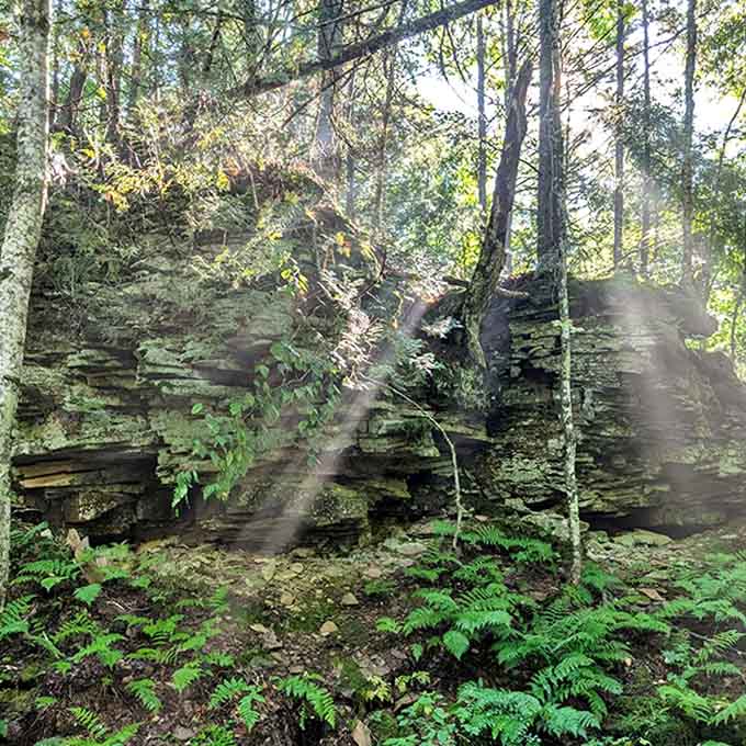Divine lighting breaks through the forest canopy, illuminating ancient rock formations like nature's own cathedral windows in this woodland sanctuary.
