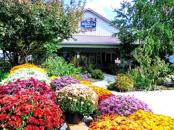 The exterior view shows The Homestead Bakery nestled in countryside charm, worth every mile of the journey.