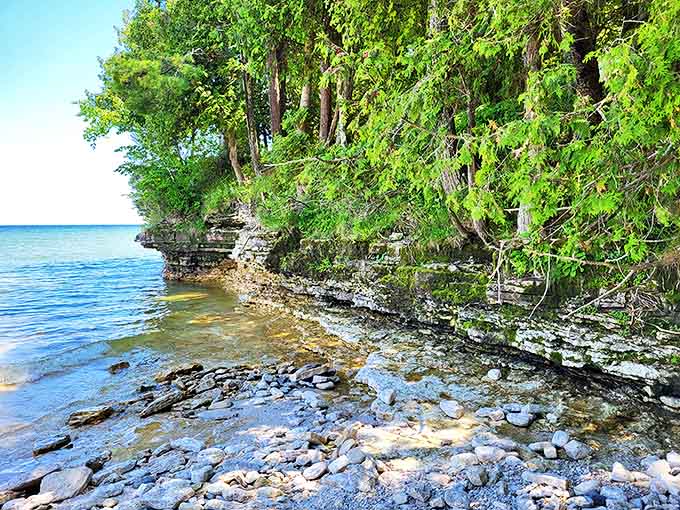 Nature's architecture on display &ndash; limestone cliffs sculpted by millennia of patient waves, topped with the green crown of ancient forest.