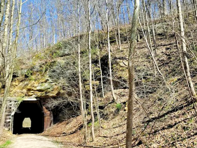 Wide View: The tunnel entrance sits nestled in its forest setting like a secret doorway, promising adventure to those who dare enter.
