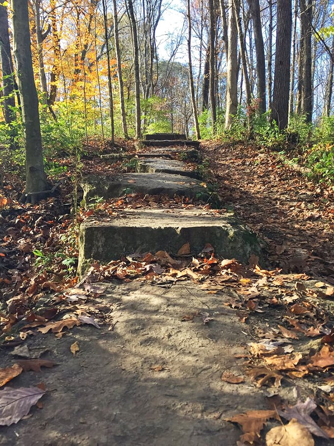 Stone steps lead upward through a kaleidoscope of fall foliage – nature's stairway to heaven, minus the Led Zeppelin soundtrack but equally inspiring.