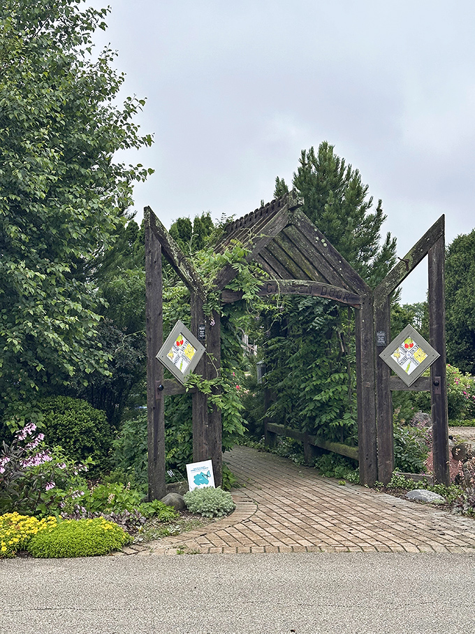 Summer sunshine illuminates this golden meadow garden where butterflies conduct their daily business meetings among native Wisconsin wildflowers.