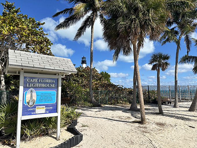 The entrance compound welcomes visitors with swaying palms and the promise of views that no Miami skyscraper can match.