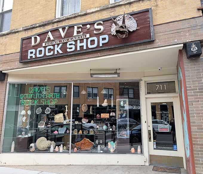 The iconic storefront sign featuring a dinosaur skull announces your arrival at one of Illinois' most surprising hidden attractions.