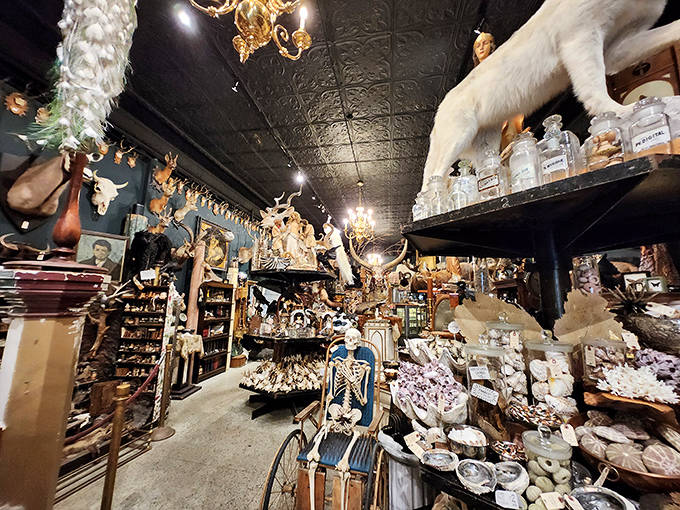 The shop's interior stretches into infinity, with treasures stacked floor to ceiling in a wonderland of weird that rewards careful exploration.