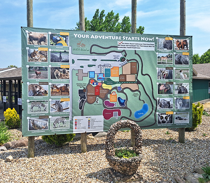 Your adventure roadmap: So many exotic creatures, so little time in this Illinois safari wonderland.