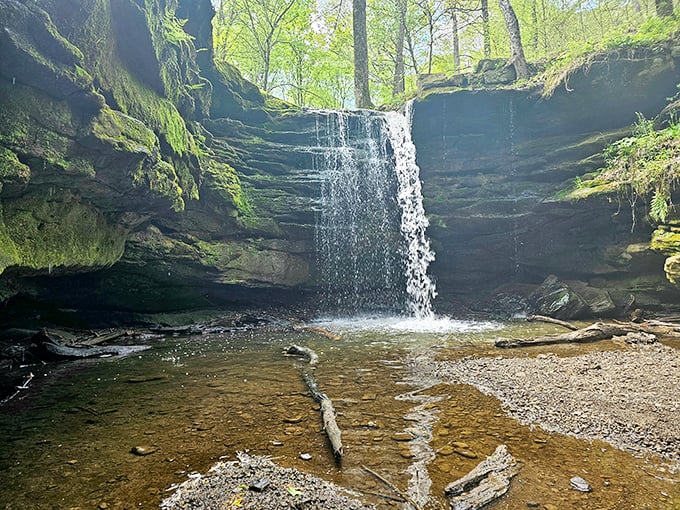 Emerald moss blankets ancient stones, creating velvet cushions that have witnessed centuries of flowing water and passing seasons.