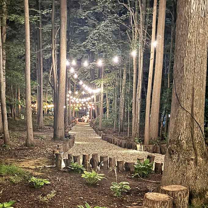 String lights illuminate a forest pathway, creating the kind of magical nighttime ambiance that makes adults believe in fairy tales again.