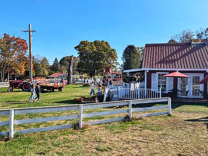 A perfect autumn day at the farm &ndash; white picket fences, red barns, and families creating memories among the pumpkins.