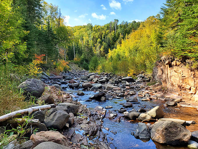 The soundtrack of Pincushion Mountain: rushing water over ancient stones, creating nature's perfect white noise machine for stressed-out souls.