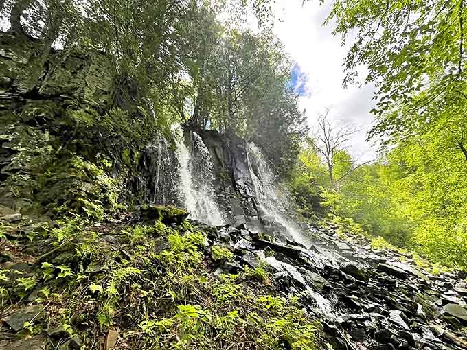 The waterfall performs its endless cascade, a natural spectacle that's been running continuously since before humans arrived to appreciate it.