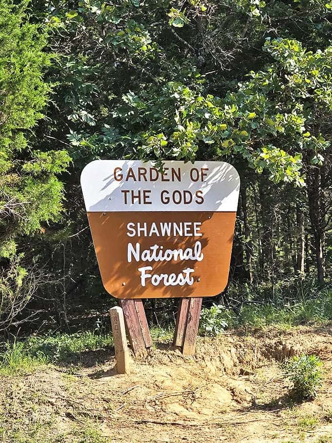 That Shawnee National Forest sign marks the entrance to proof that Illinois has been hiding some serious natural beauty up its sleeve this whole time.