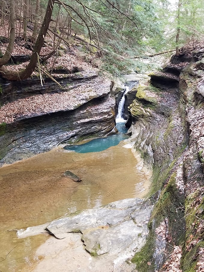 The reward for patient explorers: a secluded cascade that performs its gentle symphony for those who venture beyond the well-traveled paths.