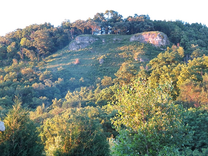 Fall's paintbrush transforms hillsides into a masterpiece of warm colors, creating the perfect backdrop for memorable road trips.