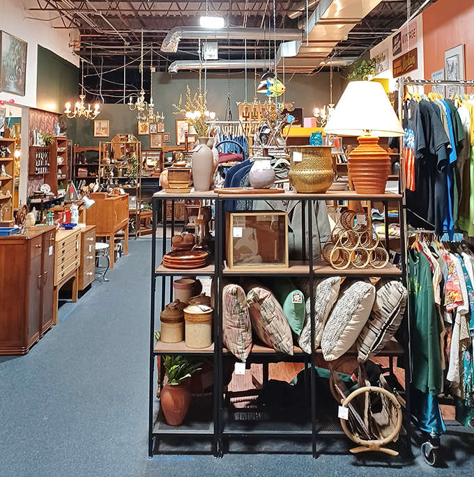 Industrial shelving creates the perfect backdrop for displaying vintage housewares, pottery, and decor items in this thoughtfully organized collector's paradise.