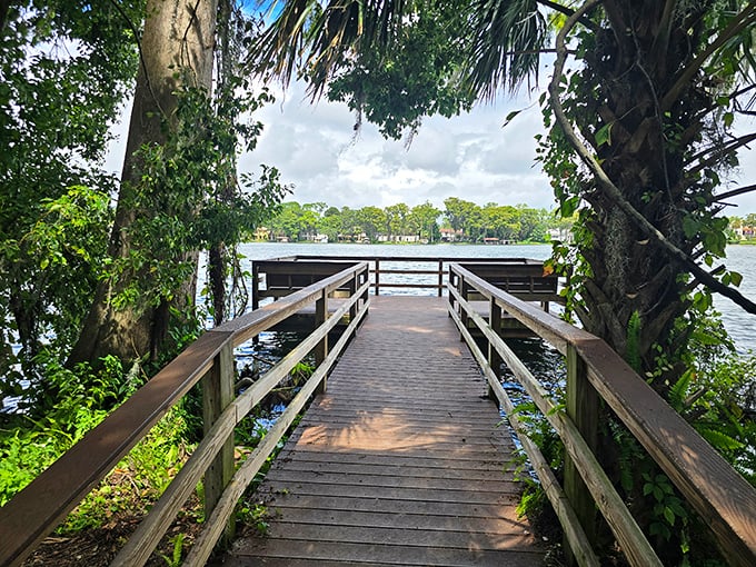 Wooden pathway: This simple dock creates a perfect frame for the lake beyond, inviting contemplation and connection with nature.