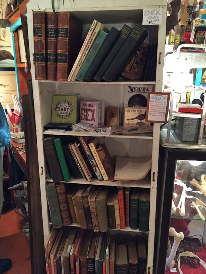 Books: Knowledge of the obscure fills these shelves &ndash; forgotten wisdom and strange histories bound in leather, waiting for curious minds to discover them.