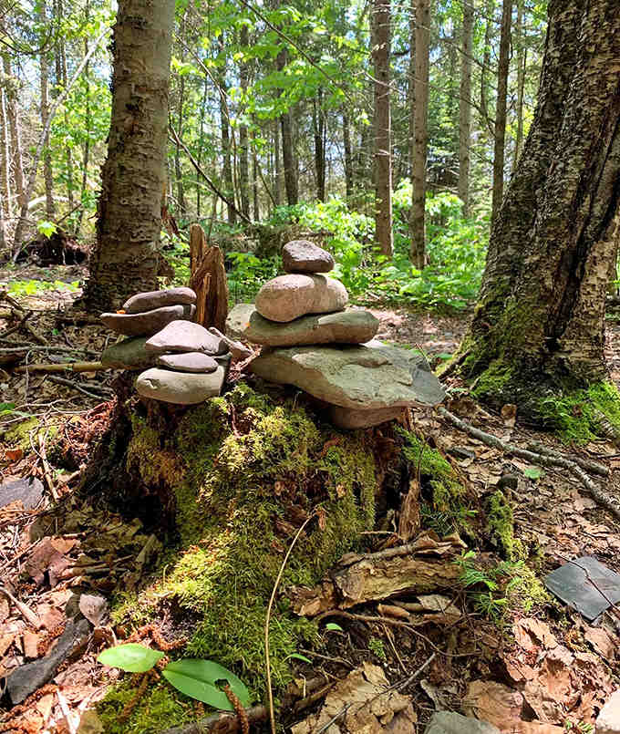 Trail artists leave balanced stone sculptures as temporary monuments to their visit. Nature's gallery, constantly changing with each new hiker.