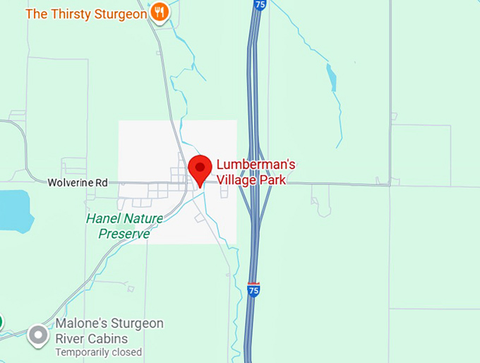 16. gnome village in wolverine, mi map