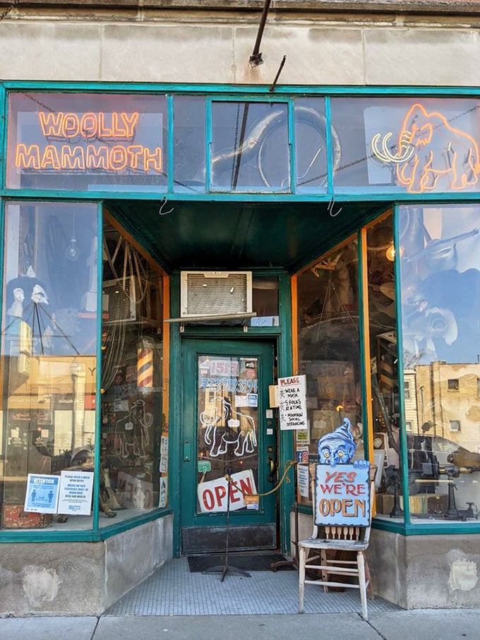 Exterior: The glowing neon mammoth sign beckons curious souls into this Andersonville wonderland, where normal antique shopping goes to die and curiosity comes alive.